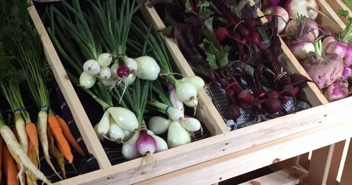 Doors Open Ontario - One Life Farm