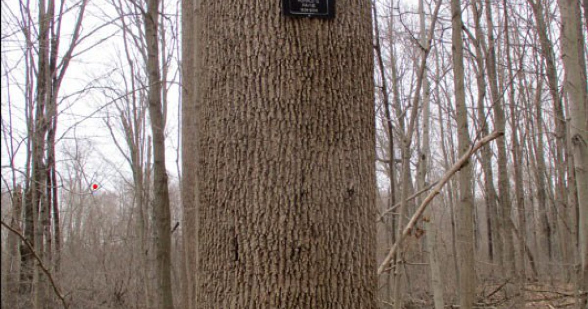 Doors Open Ontario - West Elgin Nature Reserve