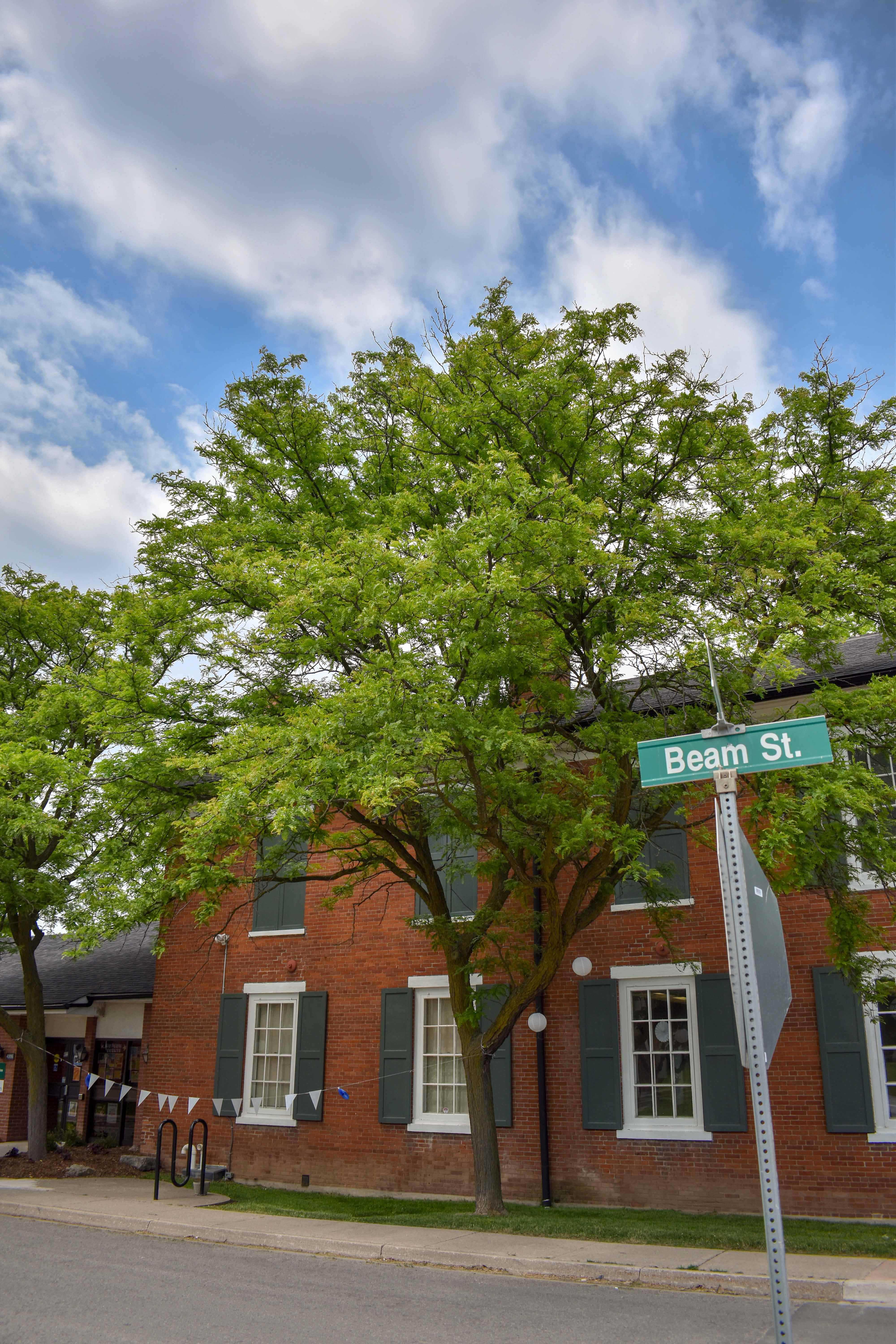 Doors Open Ontario - Lincoln Museum & Cultural Centre (Old Clinton Town ...