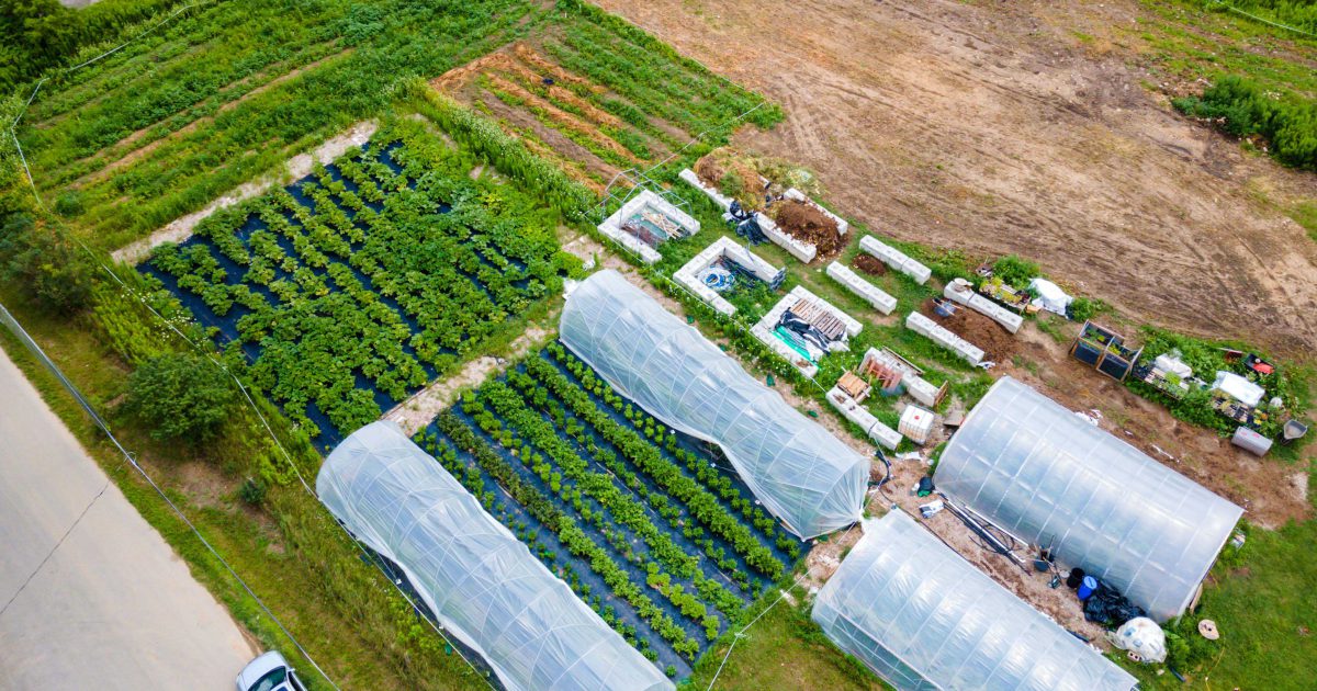 Doors Open Ontario - Urban Roots London