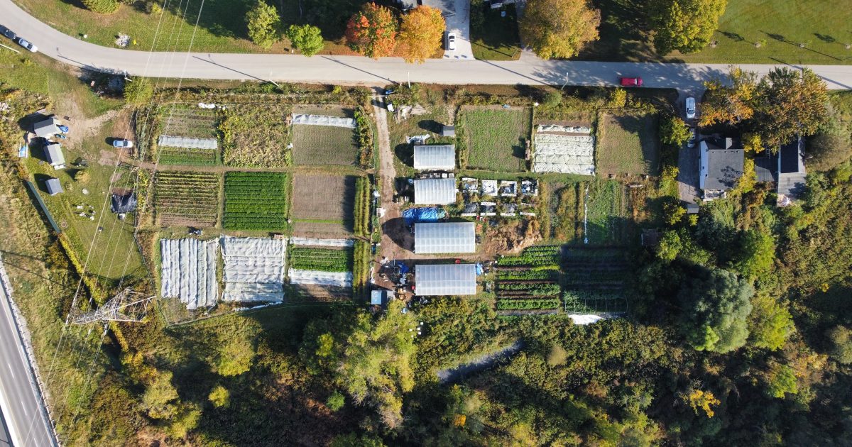 Portes Ouvertes Ontario - Urban Roots London