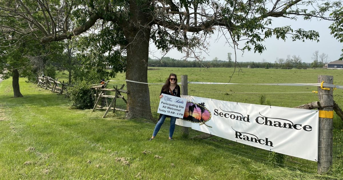 Portes Ouvertes Ontario - Ranch Second Chance