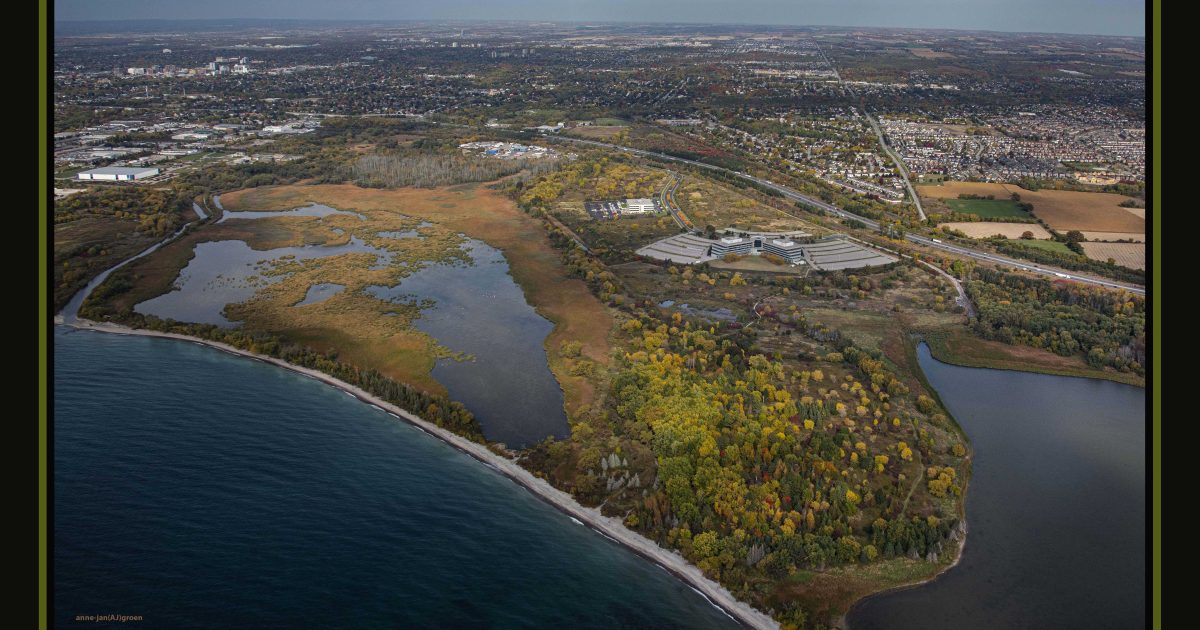Doors Open Ontario - Second Marsh Wildlife Area and McLaughlin Bay ...