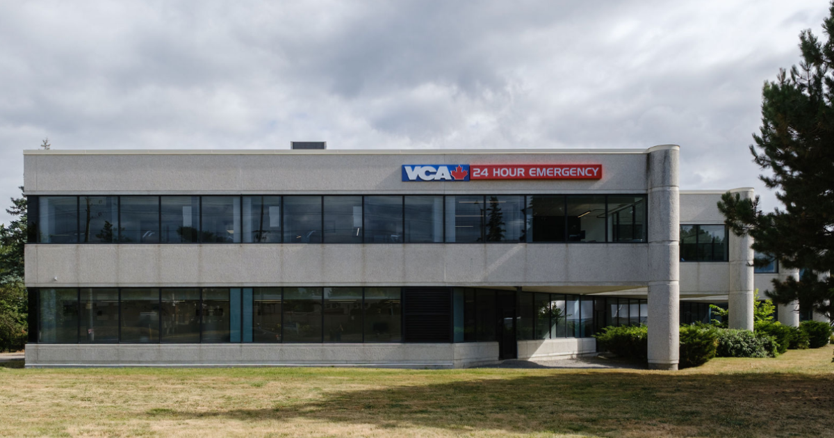 Doors Open Ontario - Alta Vista Specialty & Emergency Veterinary Centre