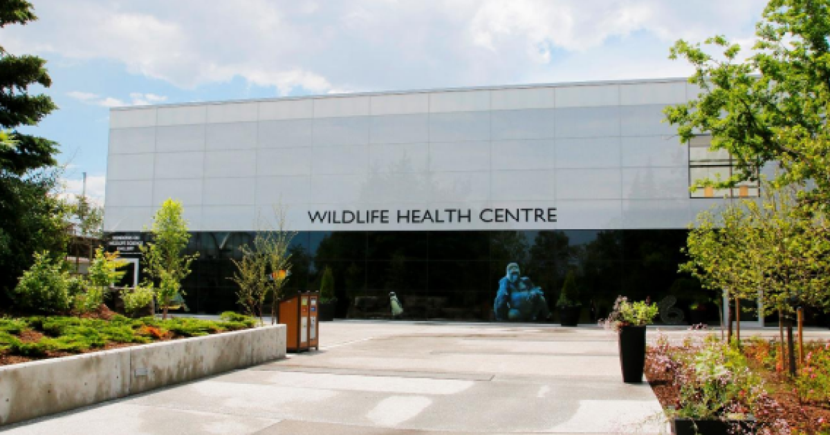 Doors Open Ontario - Toronto Zoo Wildlife Health Centre