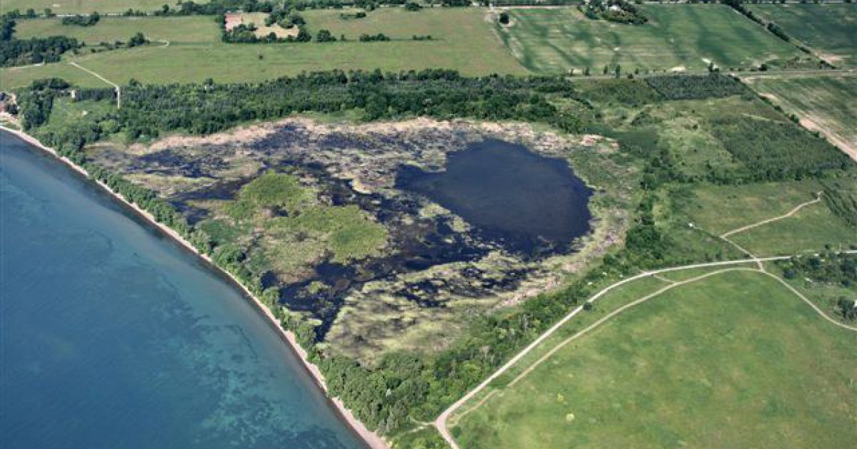 Doors Open Ontario - Cranberry Marsh (Lynde Shores Conservation Area)