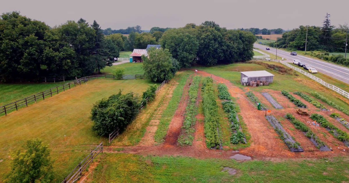 Doors Open Ontario - Blue & Silver Farm