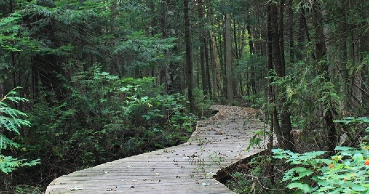 Doors Open Ontario - Bruce's Mill Conservation Area — Nature Centre