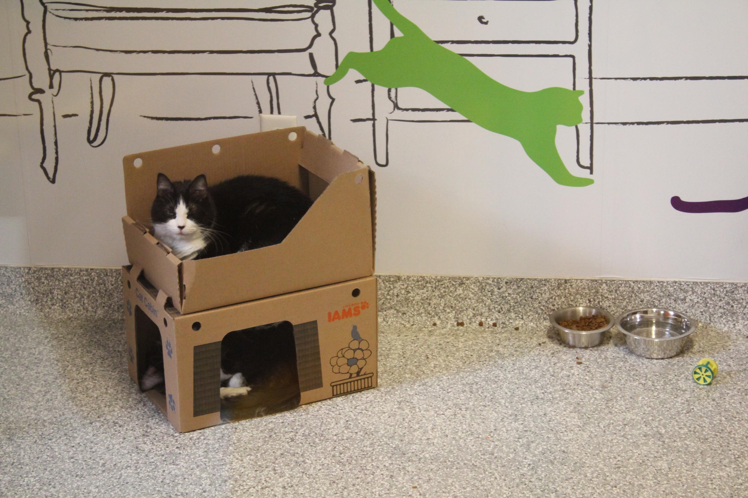 Doors Open Ontario - Ontario Society for the Prevention of Cruelty to ...
